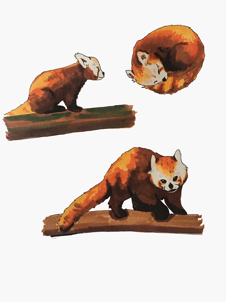 "Red Pandas (Sticker Set)" Sticker by morganajones | Redbubble