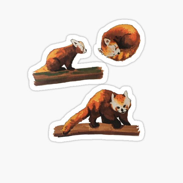 "Red Pandas (Sticker Set)" Sticker by morganajones | Redbubble