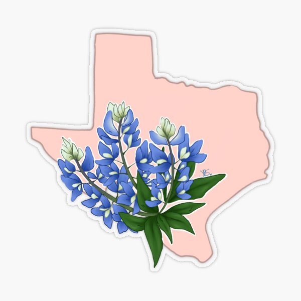 Bluebonnets Texas Decal Cute Texas Bumper Sticker, TX Bluebonnets