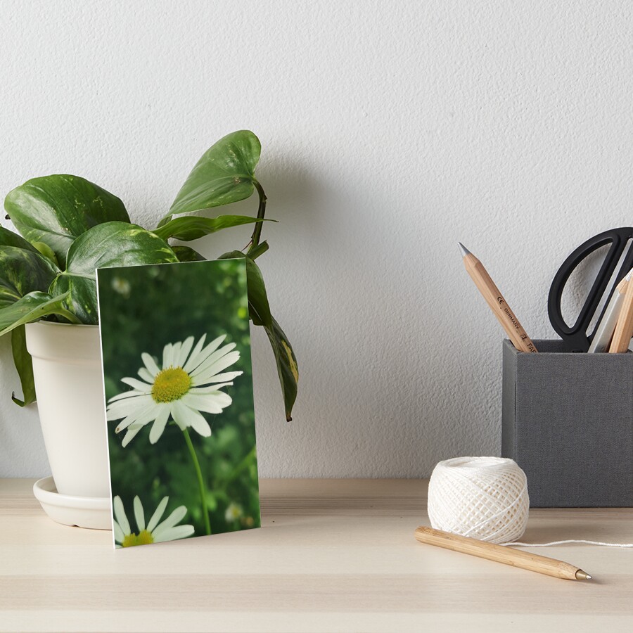 "Daisy chain " Art Board Print by ReillyRosalind | Redbubble