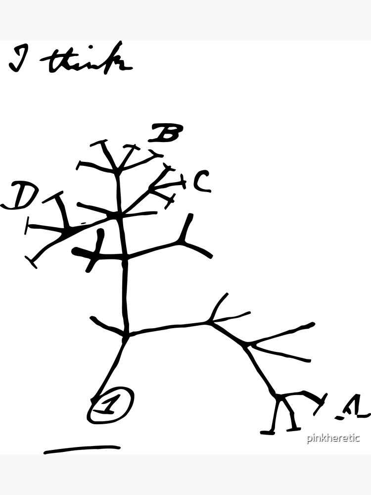 "I Think - Tree Of life Darwin" Art Print for Sale by pinkheretic ...