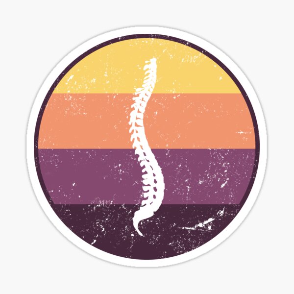 Chiropractic Stickers | Redbubble