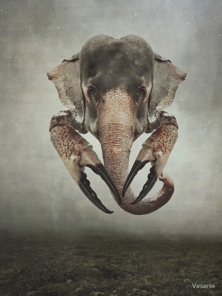 "Elephant claw" iPhone Case for Sale by Vesanie | Redbubble