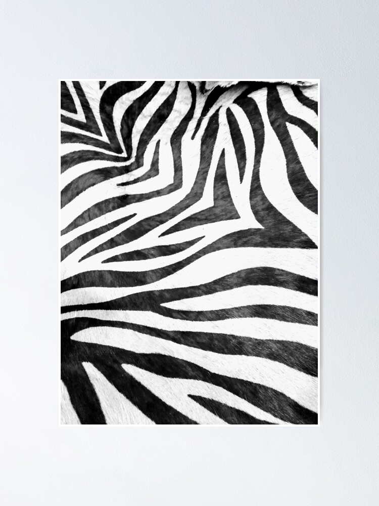 "Realistic Zebra Print in Black and White" Poster for Sale by ...