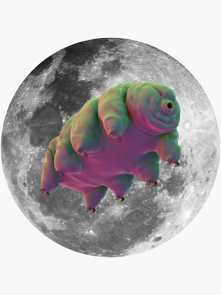 "Tardigrade on the Moon" Sticker by redballbluebulb | Redbubble