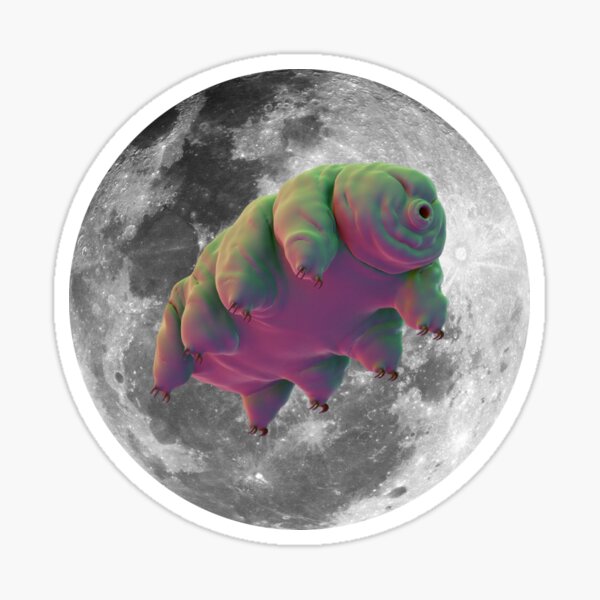 "Tardigrade on the Moon" Sticker by redballbluebulb | Redbubble