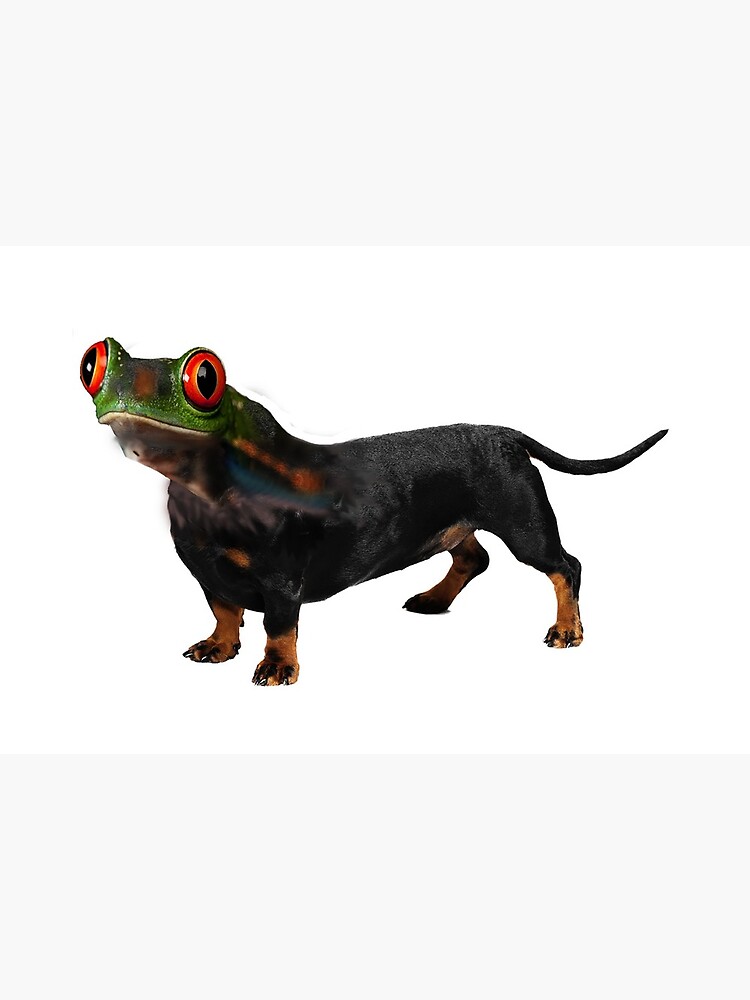 "Frog Dog Chimera Froschund" Art Board Print for Sale by bitstudio ...