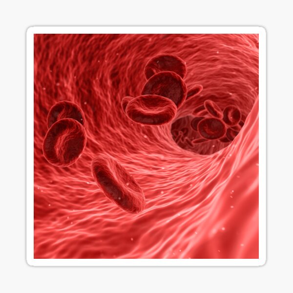 "Red blood cells" Sticker by WeMadeOurWorld | Redbubble