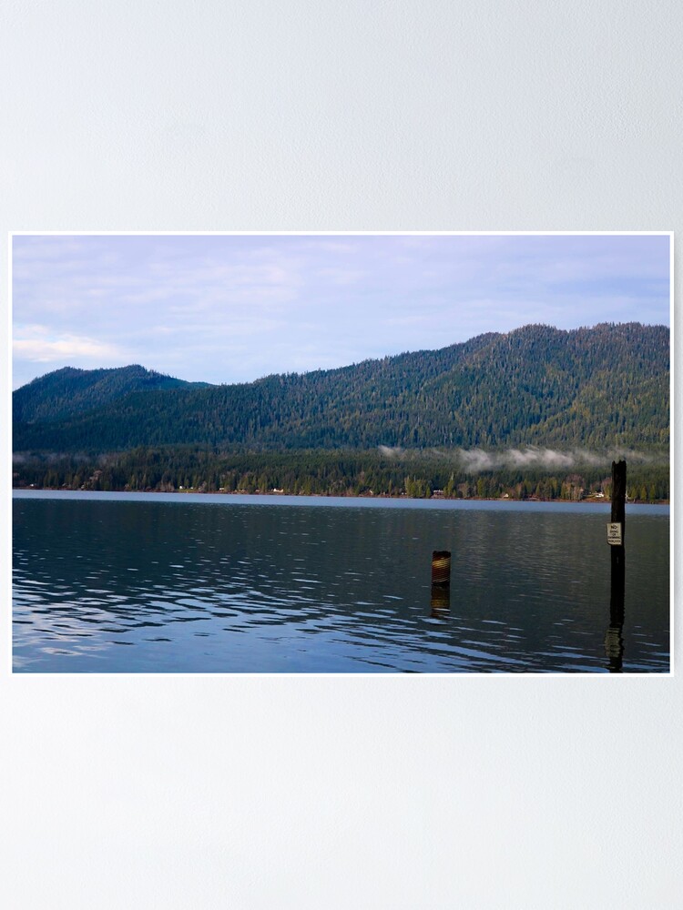 "Lake Quinault" Poster for Sale by KatTalbolt | Redbubble