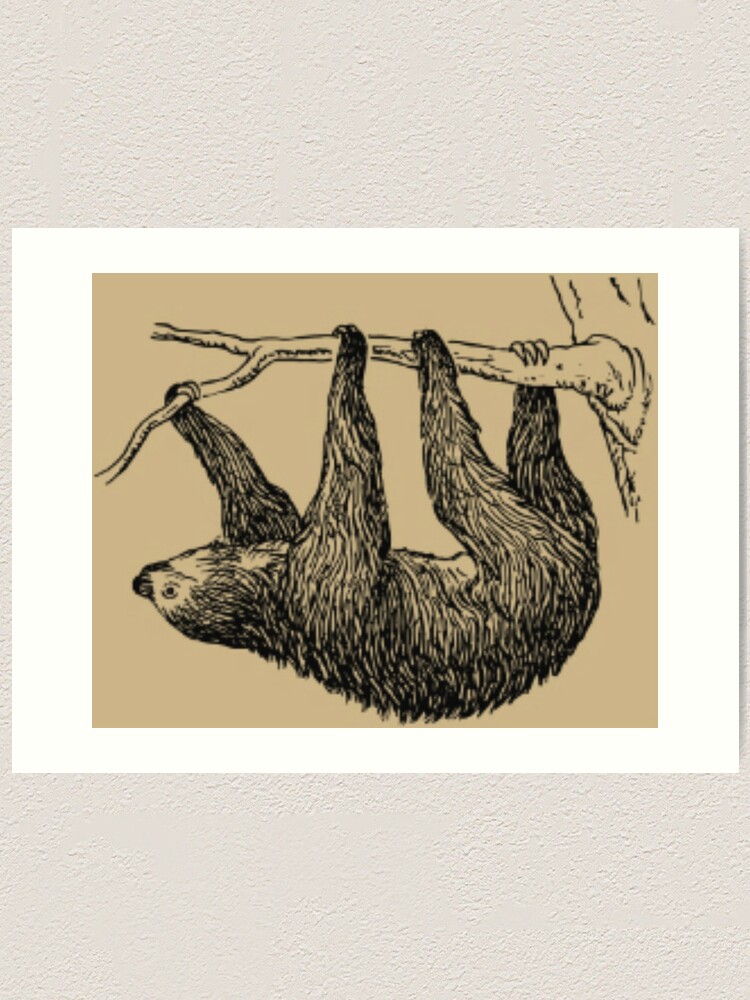 "Vintage Sloth" Art Print by bluespecsstudio | Redbubble