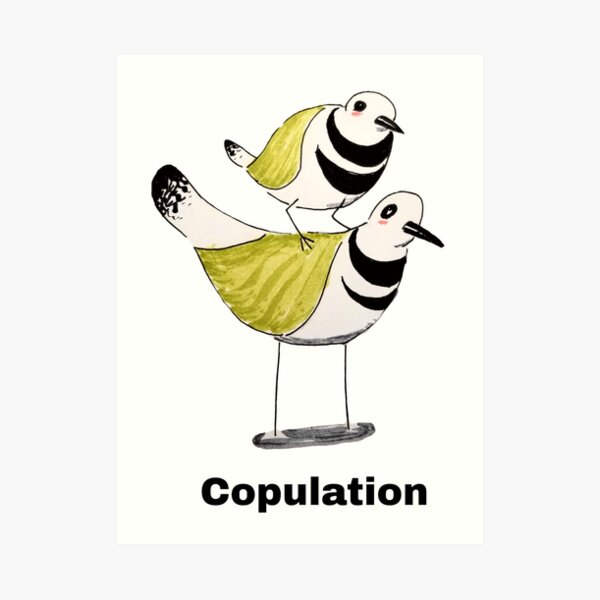 Copulation Art Prints | Redbubble