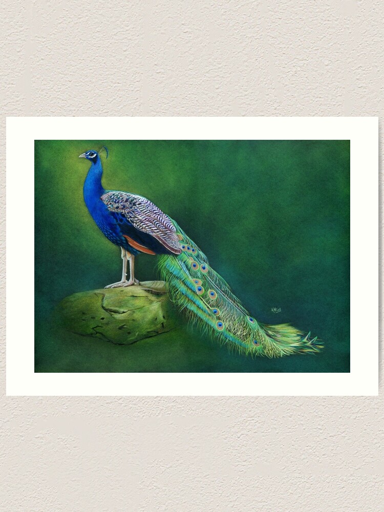 "Adonis" Art Print for Sale by KarenHull | Redbubble