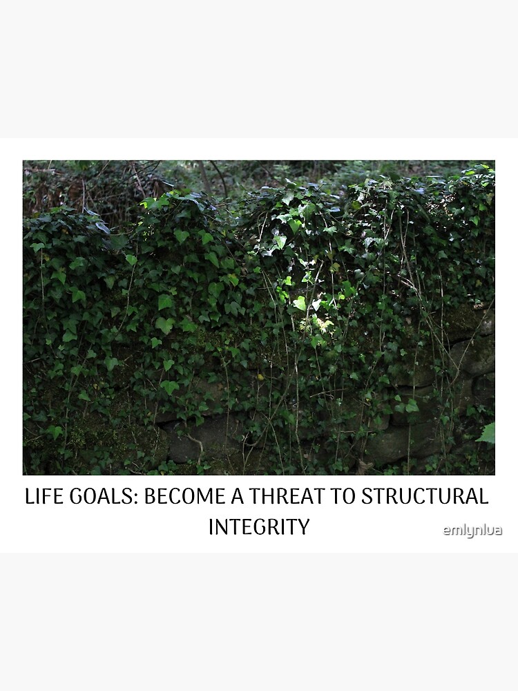 "life goals: become a threat to structural integrity" Photographic ...