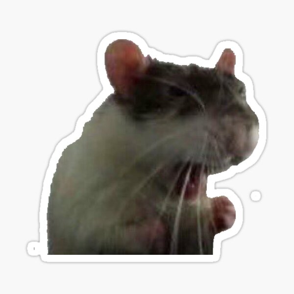 "Screaming Rat" Sticker for Sale by shelbylickliter | Redbubble