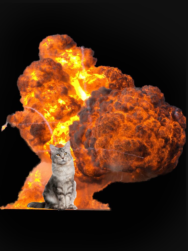 "Explosion Cat" T-shirt by EM88BATMAN | Redbubble