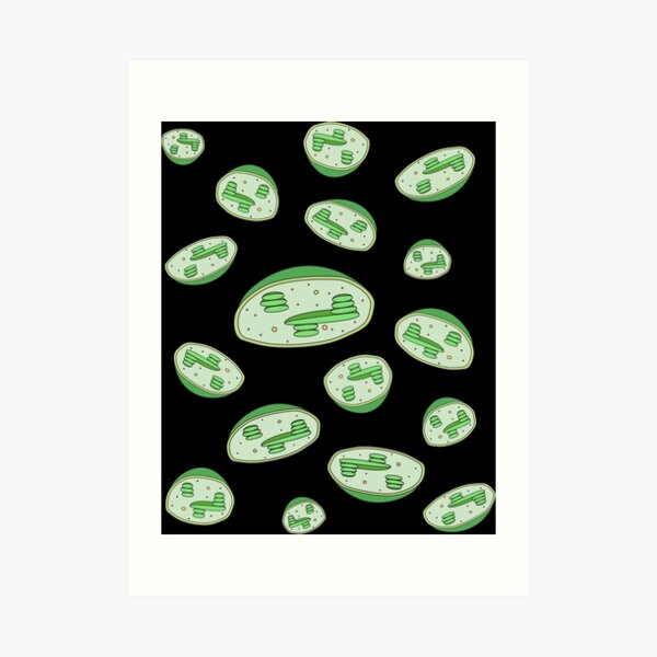"Chloroplast collage" Art Print for Sale by RosArt100 | Redbubble