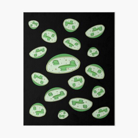 "Chloroplast collage" Art Board Print by RosArt100 | Redbubble