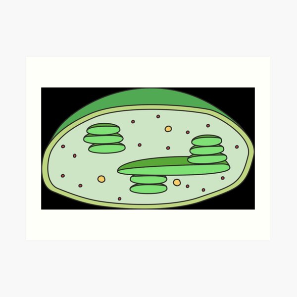 Chloroplast Art Prints | Redbubble