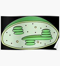 Chloroplast Posters | Redbubble