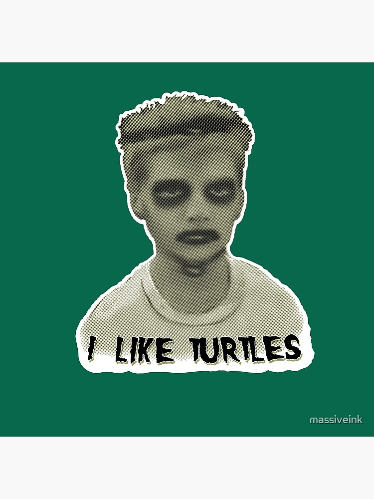 I Like Turtles Boy This Is What 'I Like Turtles' Boy Looks