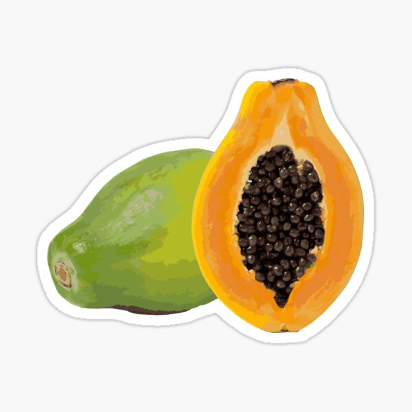 "PAPAYA" Sticker for Sale by daddylongarms | Redbubble