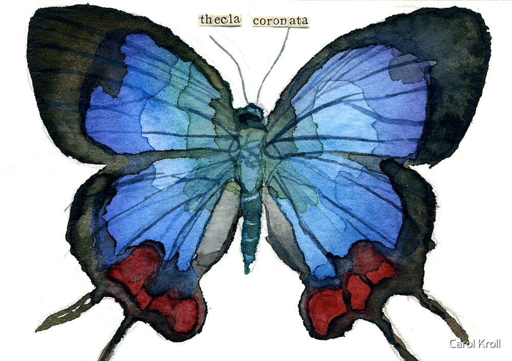 "Thecia Coronata (Hewitson's Blue Hairstreak Butterfly)" by Carol Kroll ...