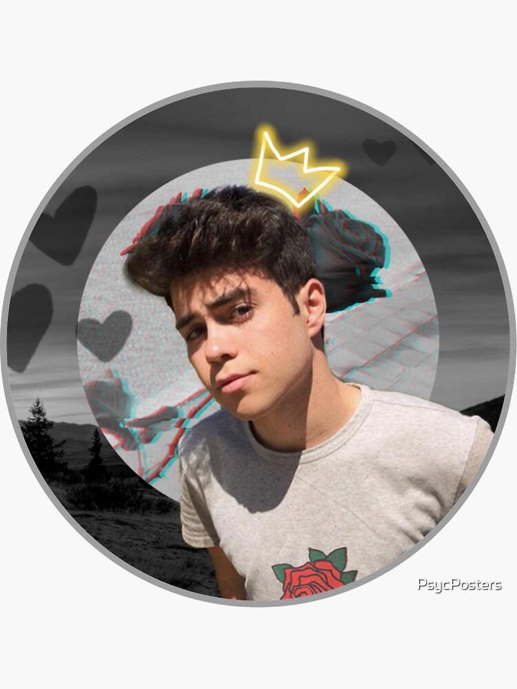 "Benji Krol Edit " Sticker by PsycPosters | Redbubble