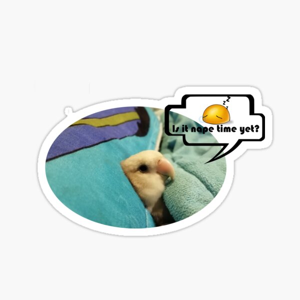 "Cloudy Nap Time " Sticker for Sale by HSEstore | Redbubble
