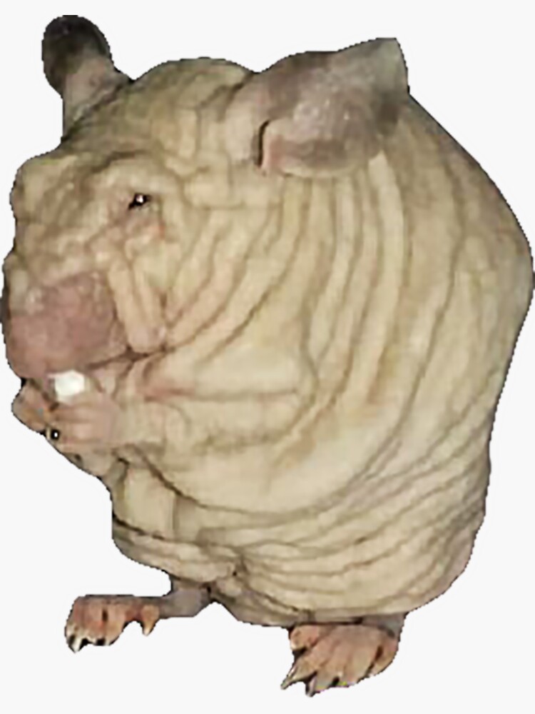 "skrunky" Sticker by hyqisiud | Redbubble