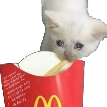 "CRYING CAT eating french fry - crying cat meme twitter meme " Magnet ...