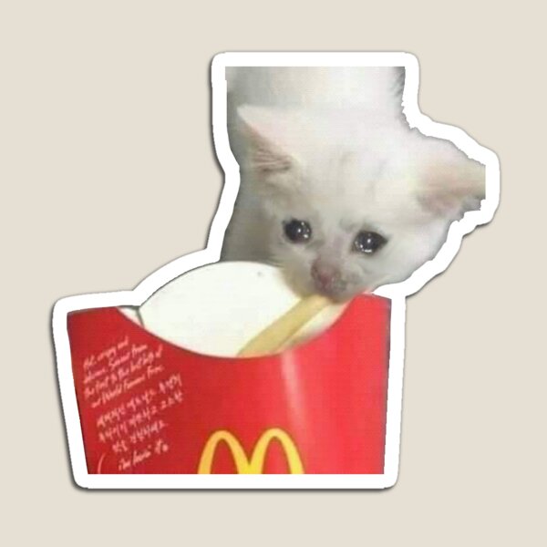 "CRYING CAT eating french fry - crying cat meme twitter meme " Magnet ...