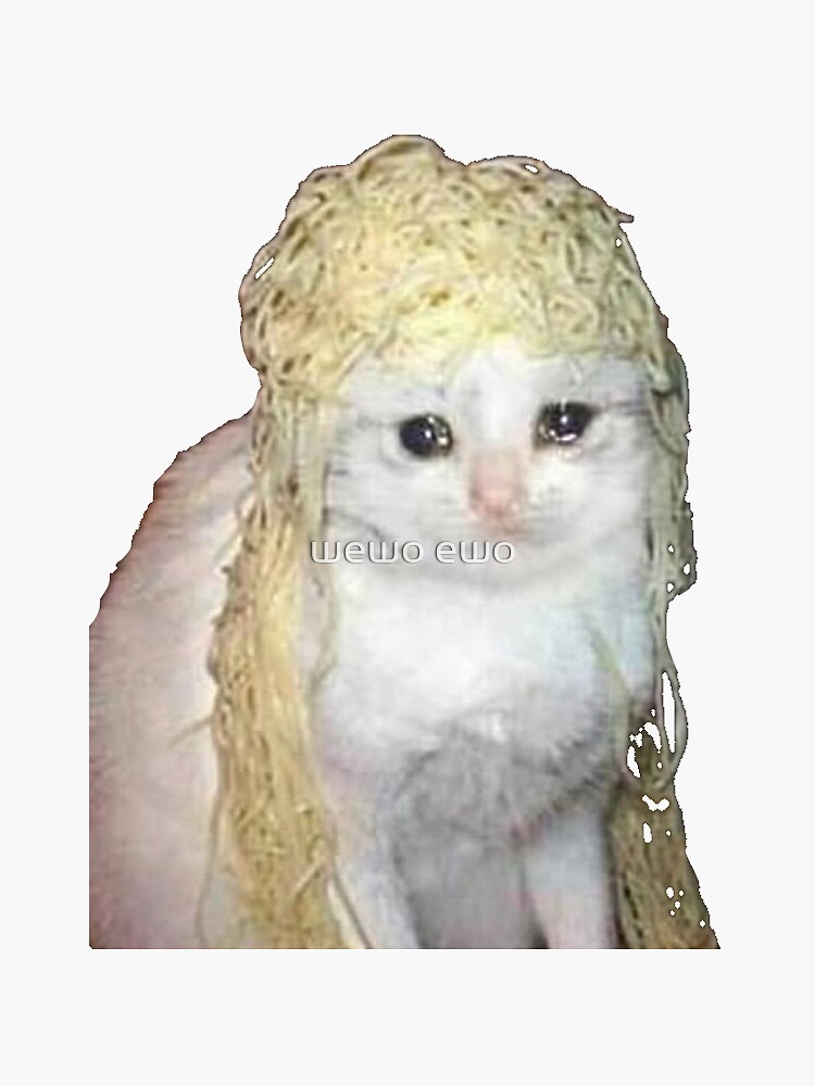 "Crying cat meme with spaghetti - crying twitter meme with pasta ...