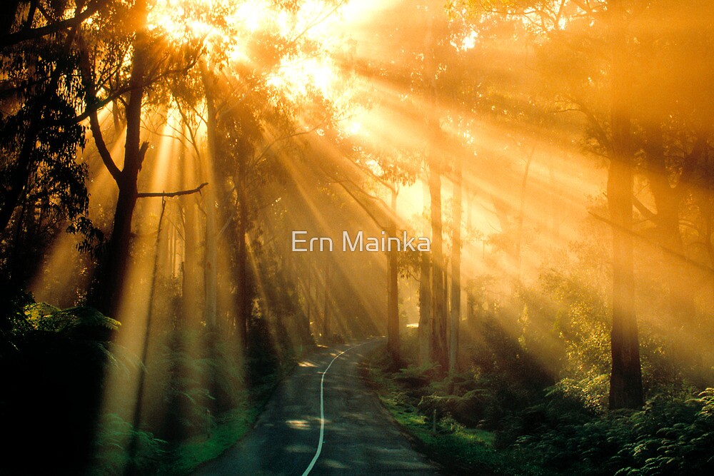 "Morning Journey" by Ern Mainka | Redbubble