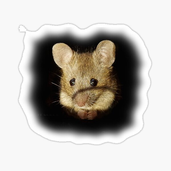 "Sad Mouse " Sticker by Simon-dell | Redbubble