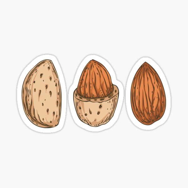 "Almond" Sticker for Sale by deepfuze | Redbubble