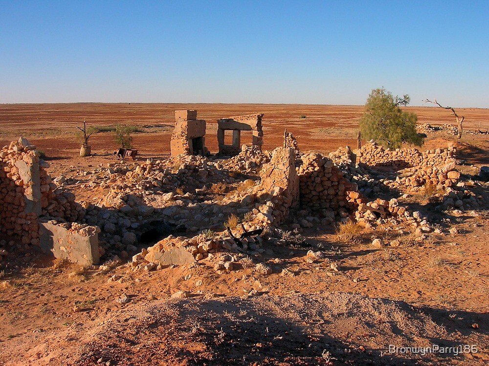 "Mulka Store Ruins " by BronwynParry186 | Redbubble