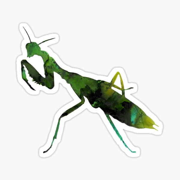 "Praying Mantis Green Watercolor" Sticker for Sale by KMGoldsworthy ...