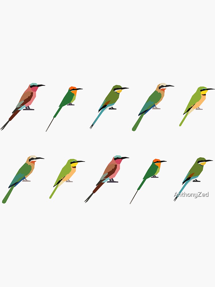 "African Bee Eaters" Sticker for Sale by AnthonyZed | Redbubble