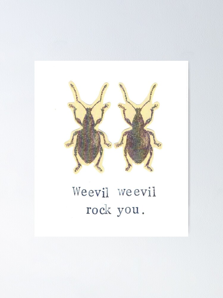 "Weevil Weevil Rock You" Poster for Sale by bluespecsstudio | Redbubble