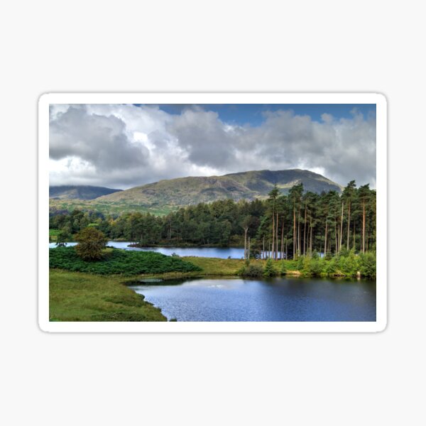 Tarns Gifts & Merchandise for Sale | Redbubble