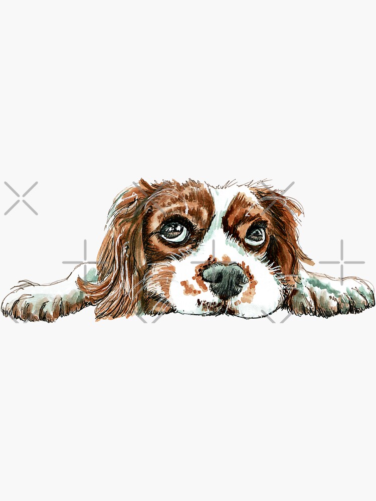 "Cocker Spaniel puppy dog eyes" Sticker for Sale by Sharuss | Redbubble