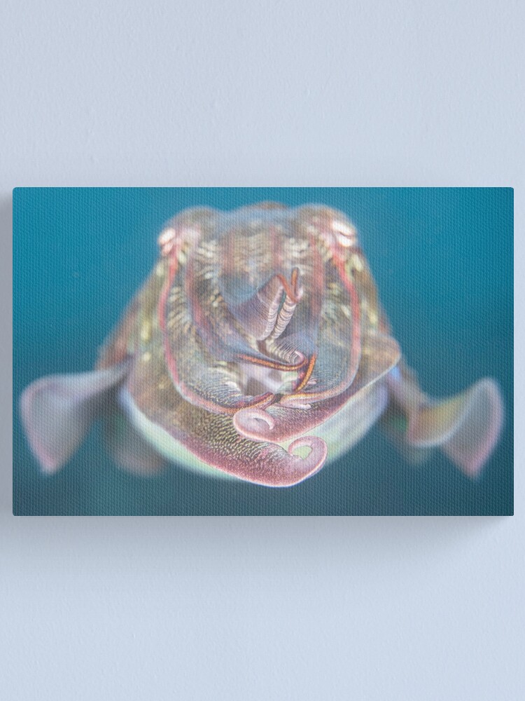 "Psychedelic Pharoah Cuttlefish" Canvas Print for Sale by ...