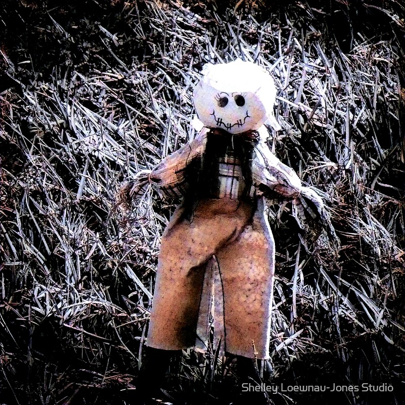 "Orange Scarecrow" by Shelley Loewnau-Jones | Redbubble