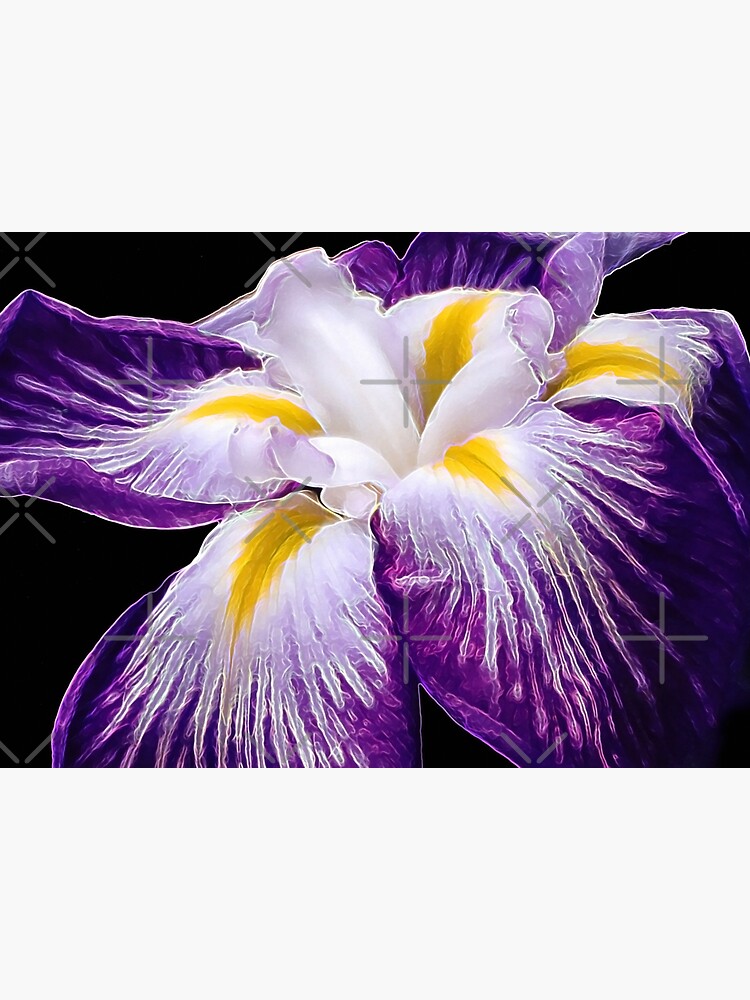"Iris" Sticker by rolffimages | Redbubble
