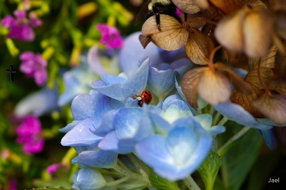 ""NEW BIRTH" AND SPRING" by Jael | Redbubble