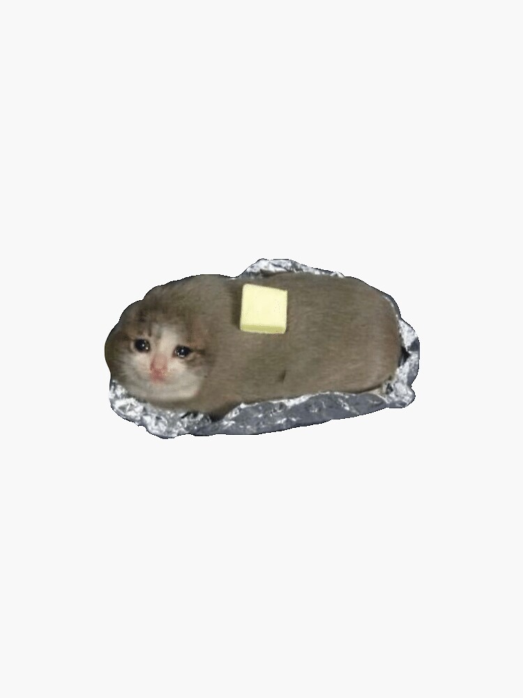 "crying potato cat with butter - crying cat meme" Sticker by ...