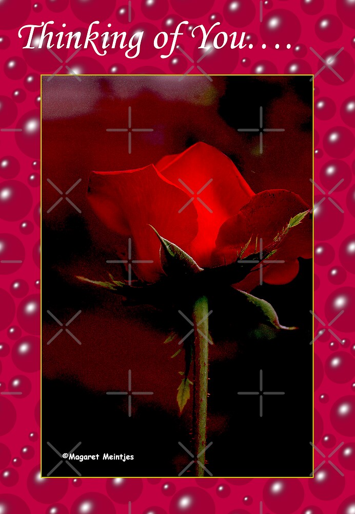 "THINKING OF YOU - RED ROSE CARD" by Magriet Meintjes | Redbubble