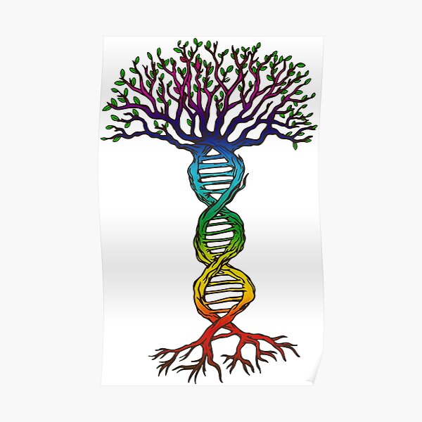 "Chakra DNA Tree of Life." Poster for Sale by emphatic | Redbubble