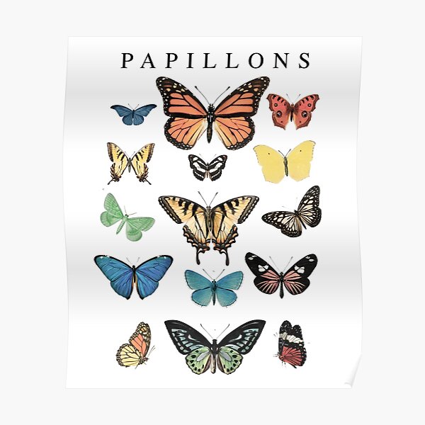 "Papillons Butterfly " Poster for Sale by alexvoss | Redbubble