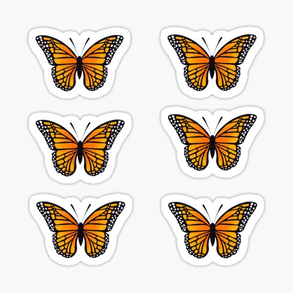 "orange butterfly sticker pack" Sticker for Sale by pac1227 | Redbubble